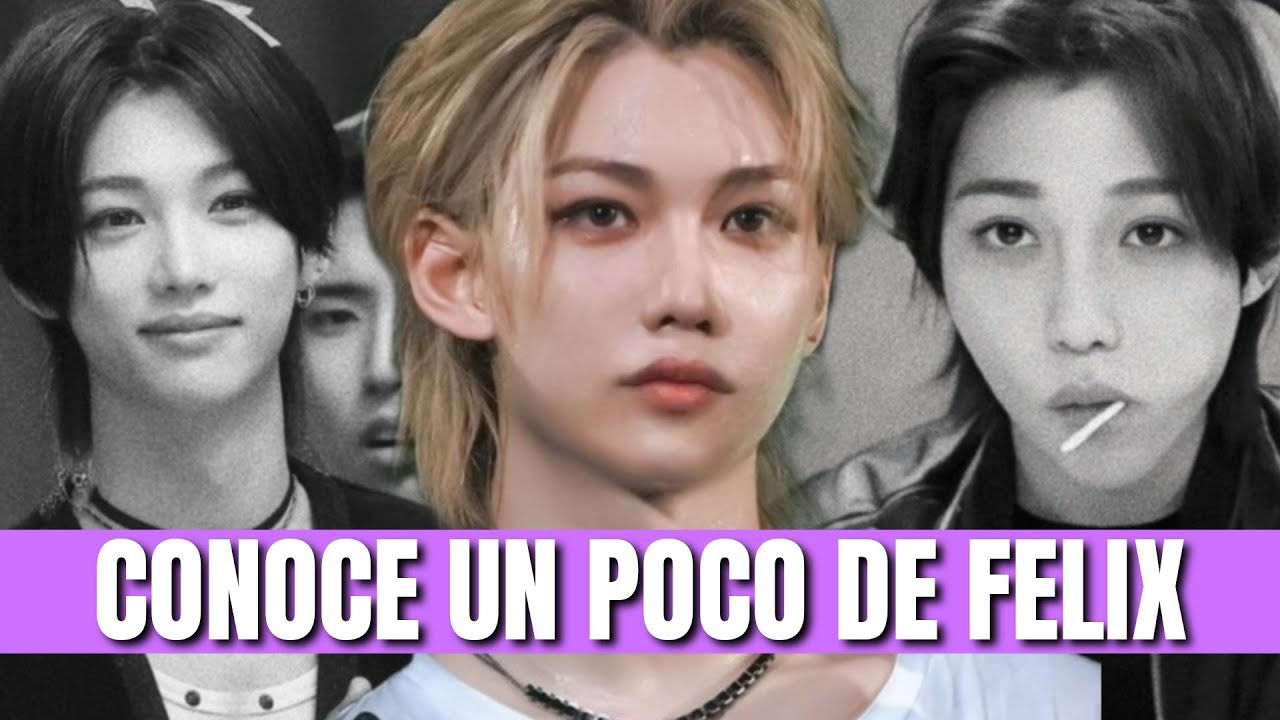 Descubre todo sobre Felix: la guía definitiva para conocerlo - Sonajero.es
