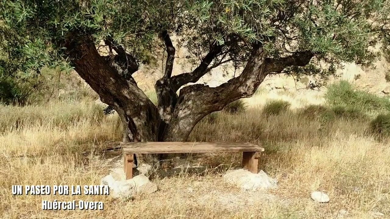 Descubre Huércal Overa: La joya escondida de Almería que debes visitar ...