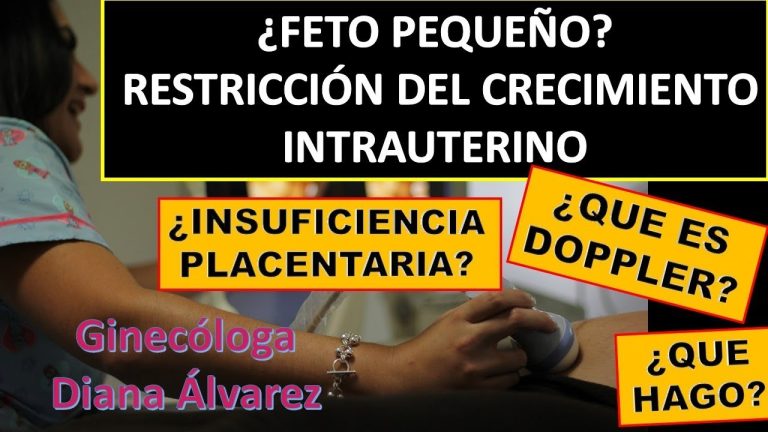 Guía completa sobre el seguimiento del embarazo con insuficiencia ...