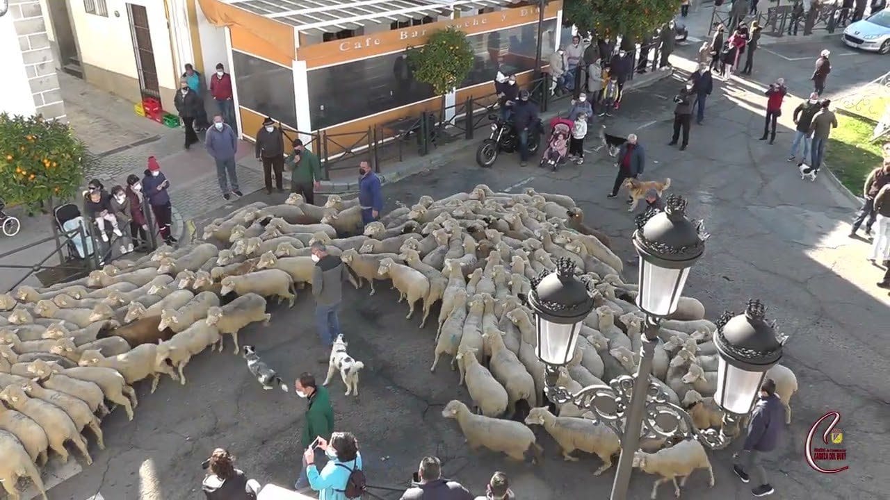 Conoce Cabeza del Buey: Descubre Su Historia, Cultura y Atracciones ...