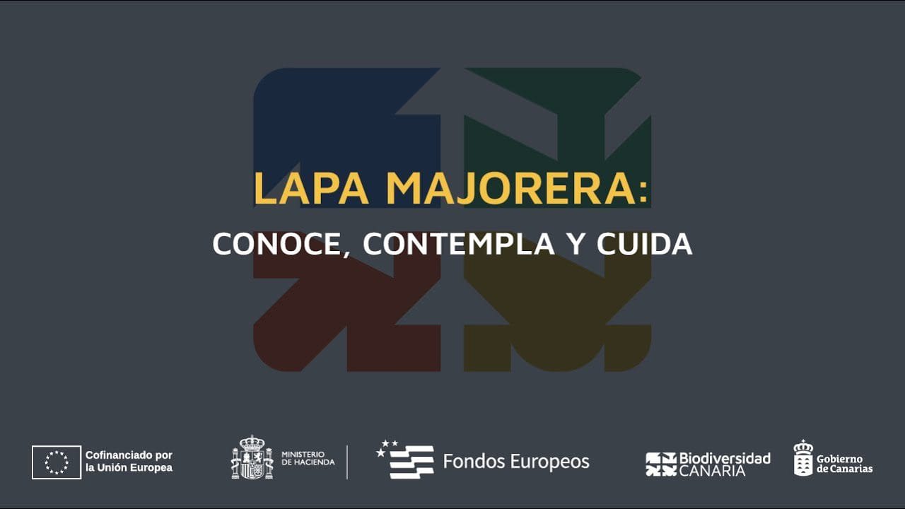 Conoce Lapa: Descubre los Encantos de Este Destino Imperdible - Sonajero.es